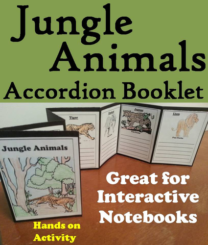 Animals Interactive | Teaching Resources