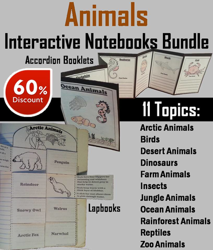 Animals Interactive | Teaching Resources