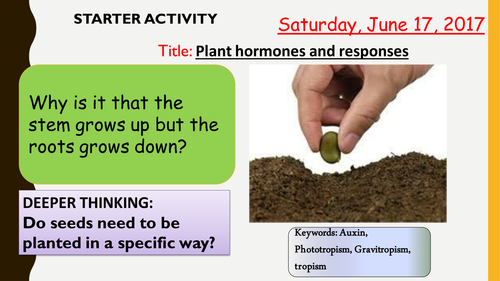 AQA new specification-Plant responses and using plant hormones-B11.9 ...
