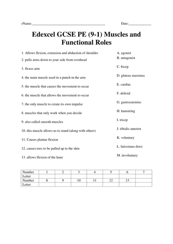 Edexcel GCSE PE (9-1) sections 1.1.7 to 1.1.9 (Muscles) | Teaching ...