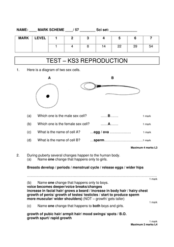 KS3 Biology tests | Teaching Resources