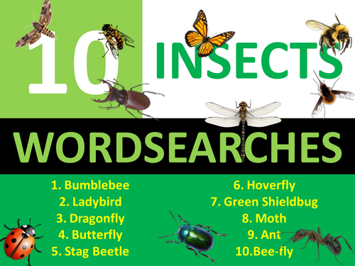 10 Insects Wordsearches Keyword Starters Wordsearch Homework Cover ...
