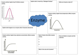 NEW Edexcel 9-1 - Biology revision sheets - Enzymes and DNA | Teaching ...