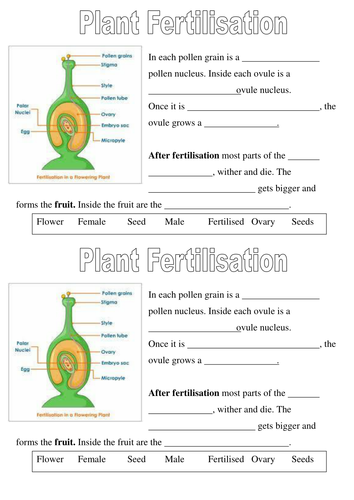 AQA Activate Plant Reproduction | Teaching Resources