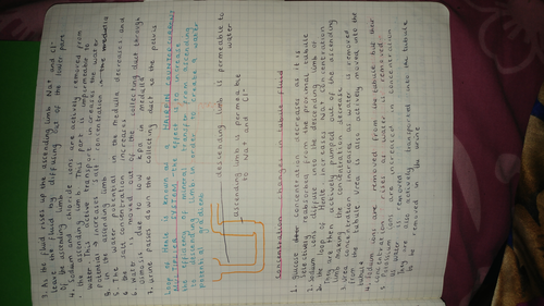 OCR A Level Biology A Revision Notes (Handwritten) | Teaching Resources