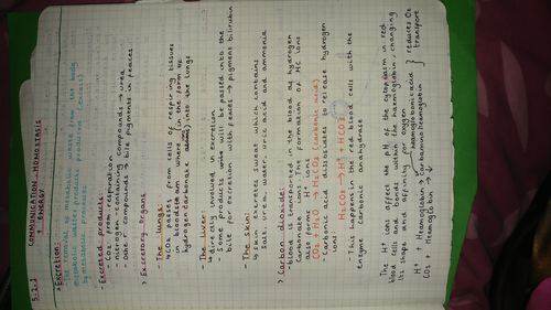 OCR A Level Biology A Revision Notes (Handwritten) | Teaching Resources