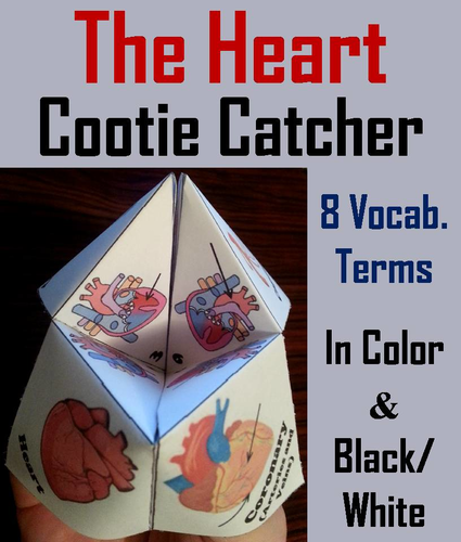 Anatomy Cootie Catchers Bundle | Teaching Resources