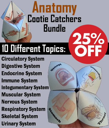 Anatomy Cootie Catchers Bundle | Teaching Resources