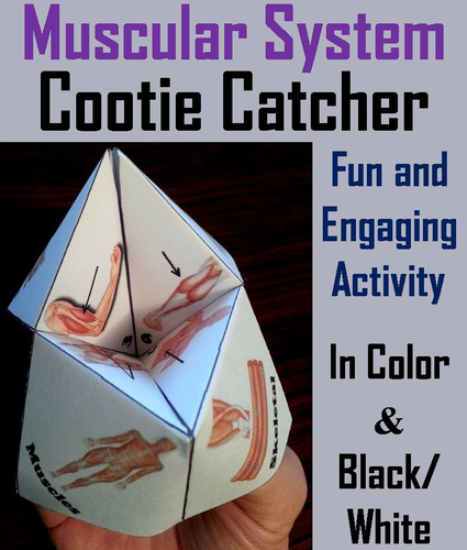Anatomy Cootie Catchers Bundle | Teaching Resources