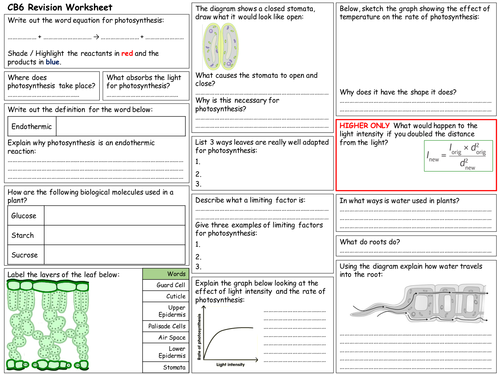 Edexcel Combined Science Biology Revision Worksheets Teaching Resources