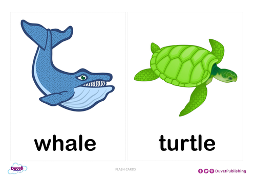 Sea animals flashcards | Teaching Resources