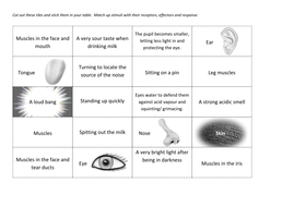 Stimulus to Response - cut and stick activity. | Teaching Resources