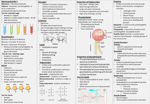 Knowledge Organiser Aqa A Level Biology Biological Molecules