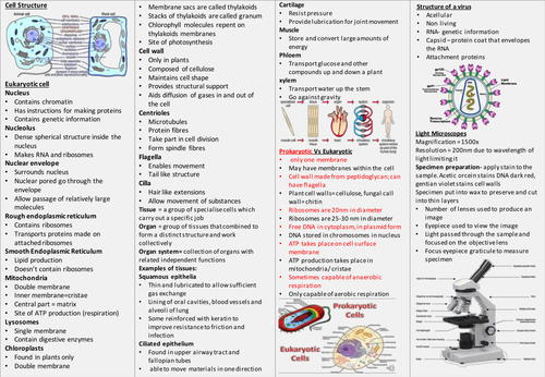 Knowledge Organiser AQA A Level Biology- cells | Teaching Resources