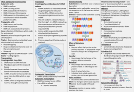 Knowledge Organiser AQA A level Biology-Genetic information, variation ...