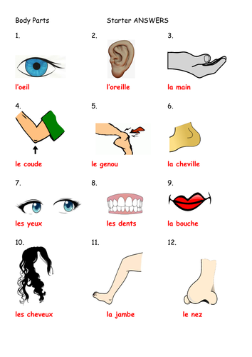 Body Parts - Les Parties du corps - Phonics, Dictionary Skills and ...