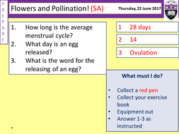 Flowers and Pollination | Teaching Resources