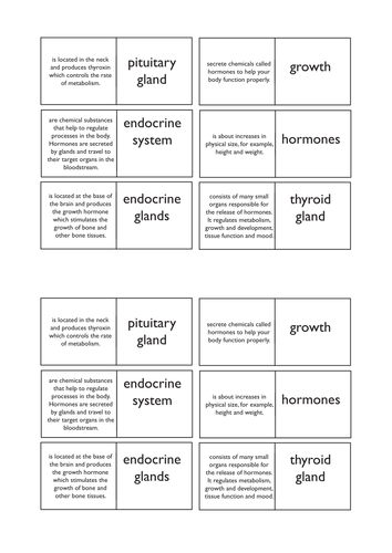 Human growth and development lesson - exploring human growth and ...