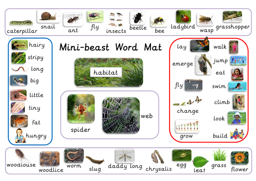 Minibeasts Resource KS1 | Teaching Resources