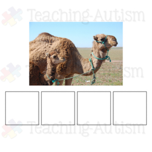 Baby Animal Sentence Building Adapted Books | Teaching Resources