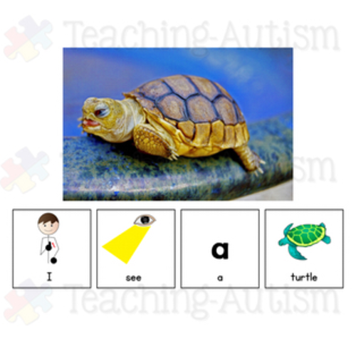 Baby Animal Sentence Building Adapted Books | Teaching Resources