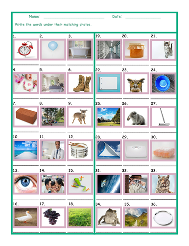 Common Nouns Second Grade Worksheet | Teaching Resources