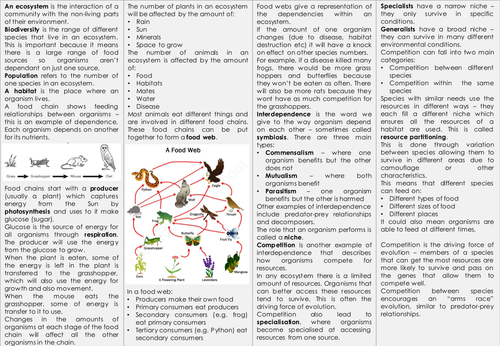 KS3 Ecology Knowledge Organiser - Food chains/food webs, conservation ...