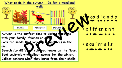 Year 1 comprehension - Autumn | Teaching Resources