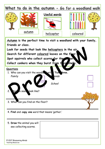 Year 1 comprehension - Autumn | Teaching Resources