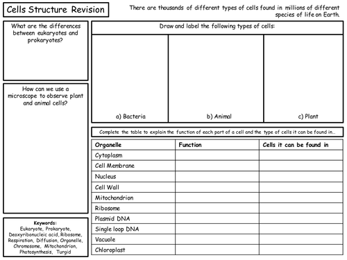 GCSE Biology (9-1) Cell Structure and Microscopy Revision | Teaching ...