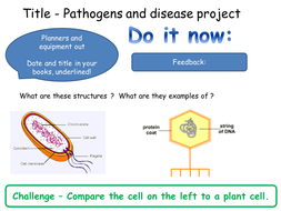 Pathogens and disease KS3 project | Teaching Resources