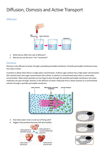 Movement of Molecules | Teaching Resources