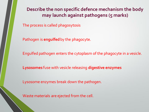 Antibodies lesson plan. A Level Biology, AQA 7401/7402 | Teaching Resources
