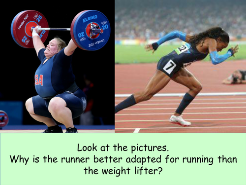 NEW AQA TRILOGY - Natural Selection | Teaching Resources