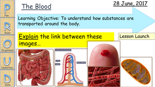 4.2.2.3 The Blood | Teaching Resources