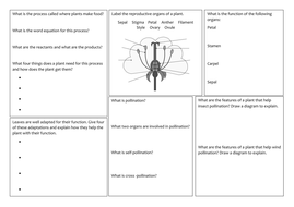KS3 Photosynthesis and plant reproduction revision mat | Teaching Resources