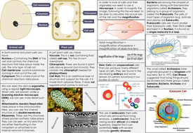 KS4 Knowledge Organizer- Cell Biology | Teaching Resources