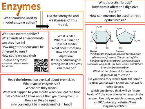 GCSE Biology Enzymes Challenge Wall | Teaching Resources