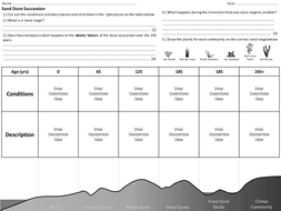 Succession: Sand Dunes cut and stick (A level resource) | Teaching ...