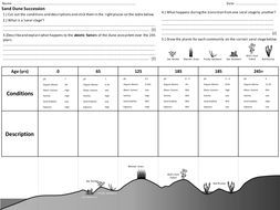 Succession: Sand Dunes cut and stick (A level resource) by cadarnloz ...