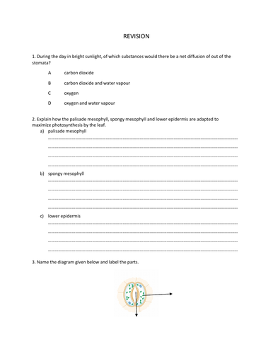 Plant Transportation and reproduction- Revision pack | Teaching Resources