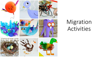 Bird Migration. A presentation on migration & a PPT with various craft ...