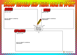 NEW Edexcel GCSE PE Unit 1 – Topic 1.2 – Cardiovascular System Lesson 2 ...