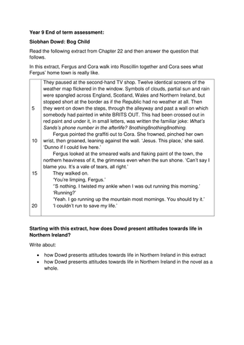 Bog Child assessment | Teaching Resources