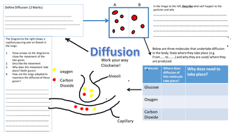 Diffusion Revision Worksheet - AQA 9-1 Biology Cell transport. Lungs ...