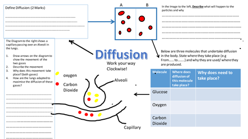 Active transport Revision sheet / mat Diffusion Revision Worksheet ...