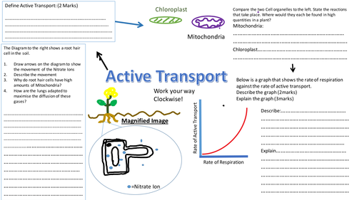 Active transport Revision sheet / mat Diffusion Revision Worksheet ...