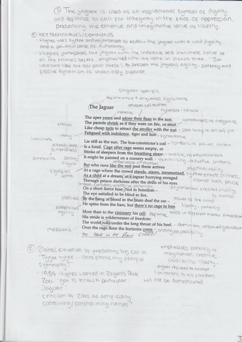 Ted Hughes - The Jaguar | Teaching Resources