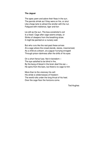 Ted Hughes - The Jaguar | Teaching Resources