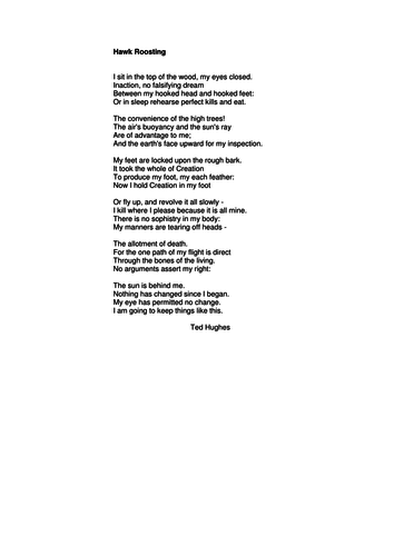 Ted Hughes - Hawk Roosting | Teaching Resources